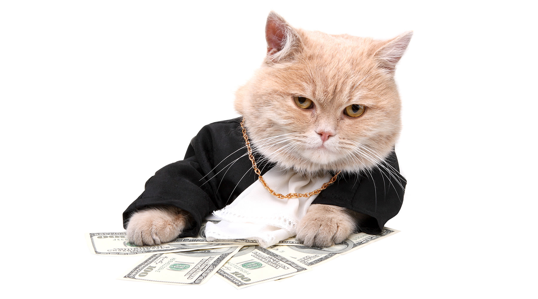 8 Frugal Habits That Can Make You A Millionaire – Wes Moss 8 Frugal Habits That Can Make You A Millionaire – Wes Moss